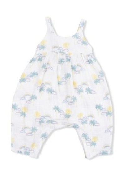 Palm Trees and Rainbows